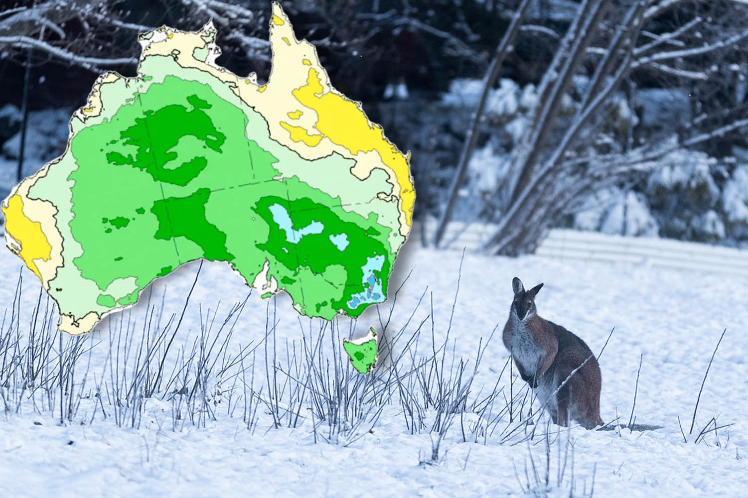 Aussies brace for coldest day of the year as snow forecast this week ...