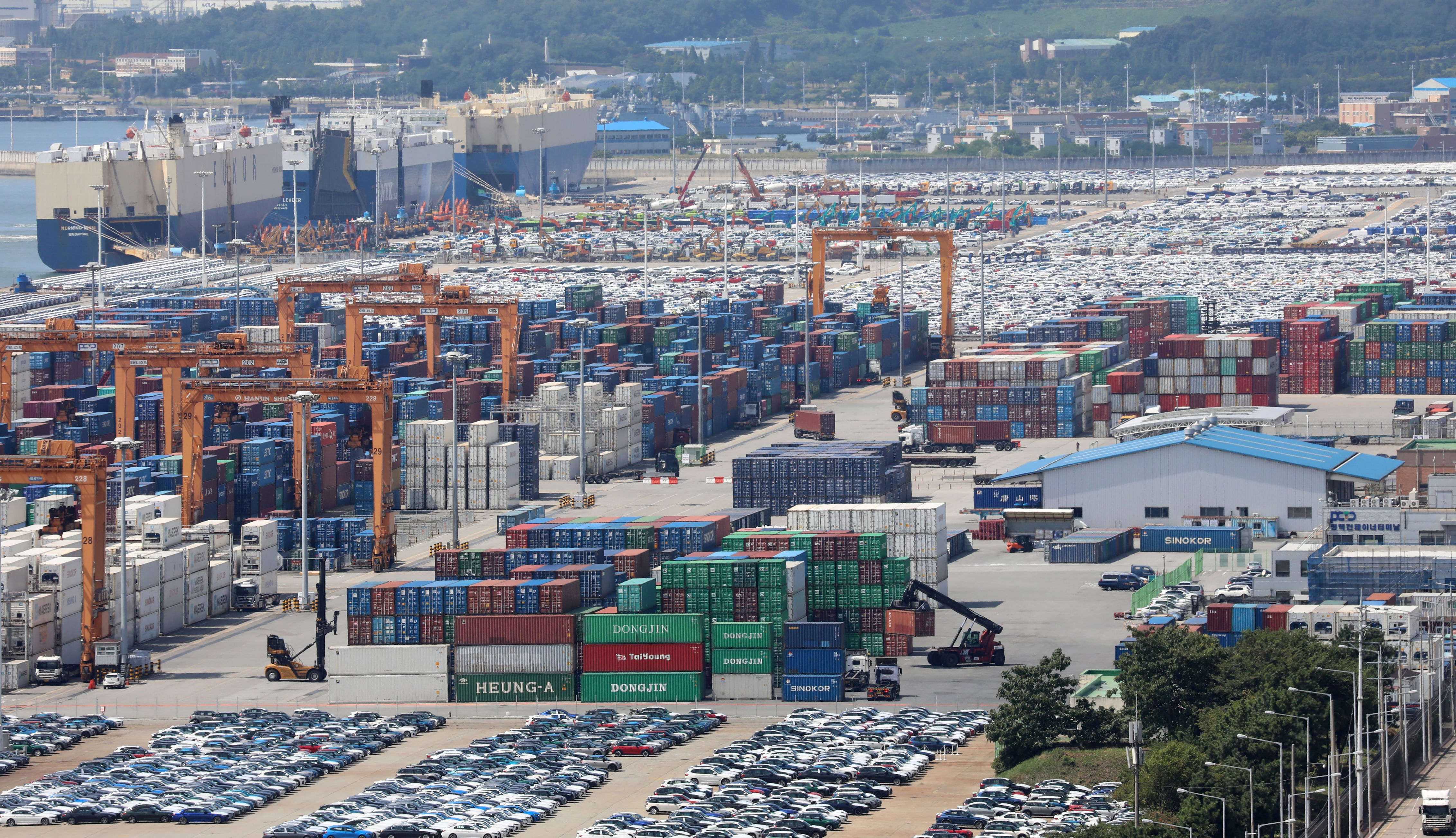 Government expands key export items to 20, adding electrical equipment ...