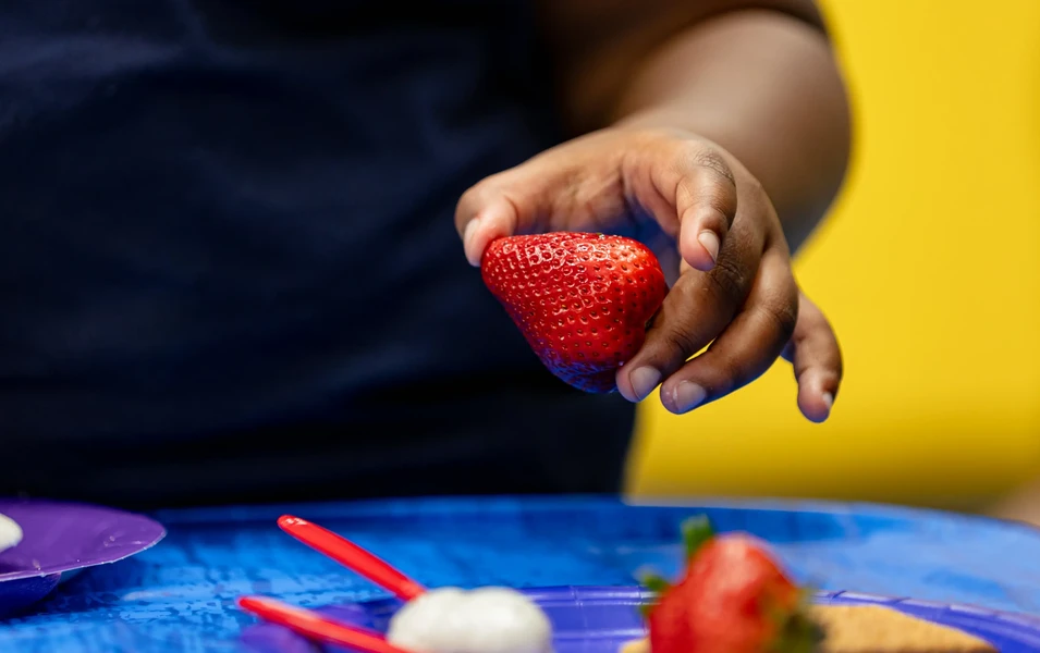 Smart strategies for toddler mealtime harmony