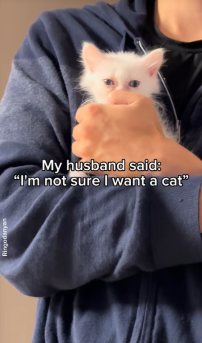 My husband got caught lying and my cat was not having it