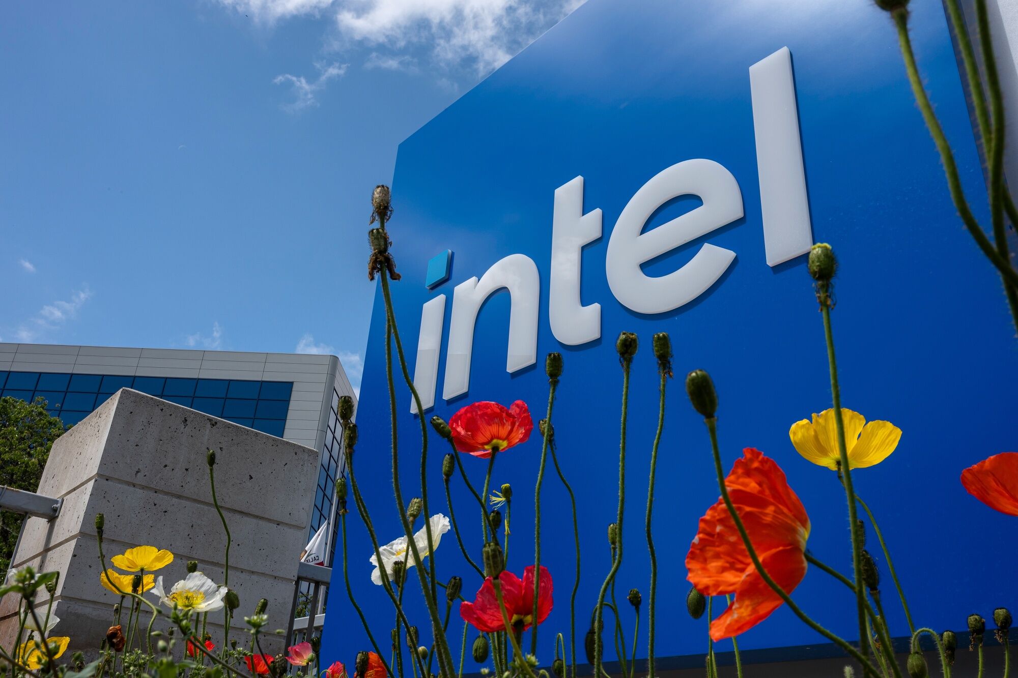 Intel’s VC arm backs QuantWare, a Dutch startup making quantum ...