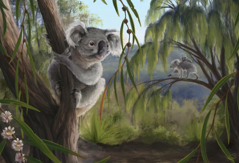 Bones in Aussie museum revealed to belong to unknown creature with ...