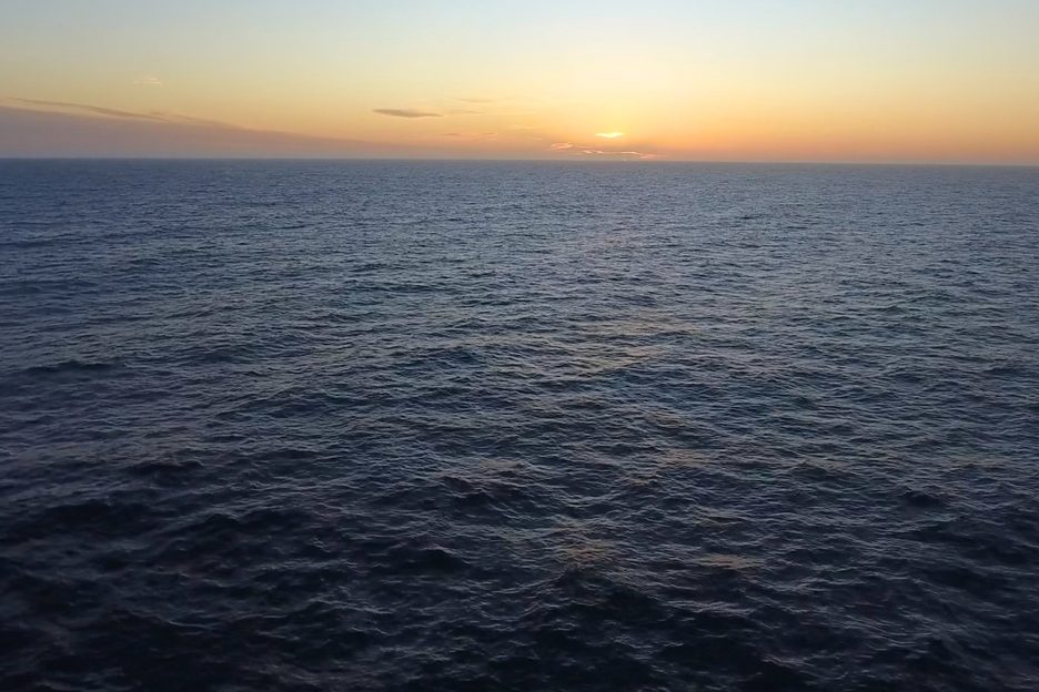 Giant squid detected in deep-sea canyon off coast of Australia