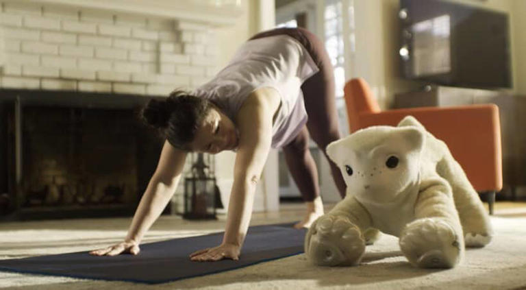 Roomba inventor unveils robot that acts like a real pet