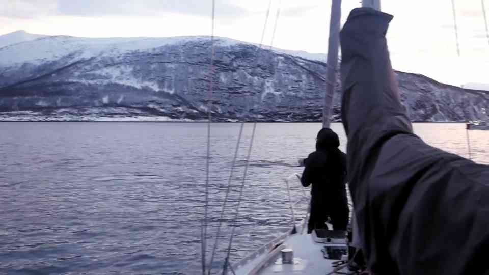 Sailing alone in polar night - then the whales appeared