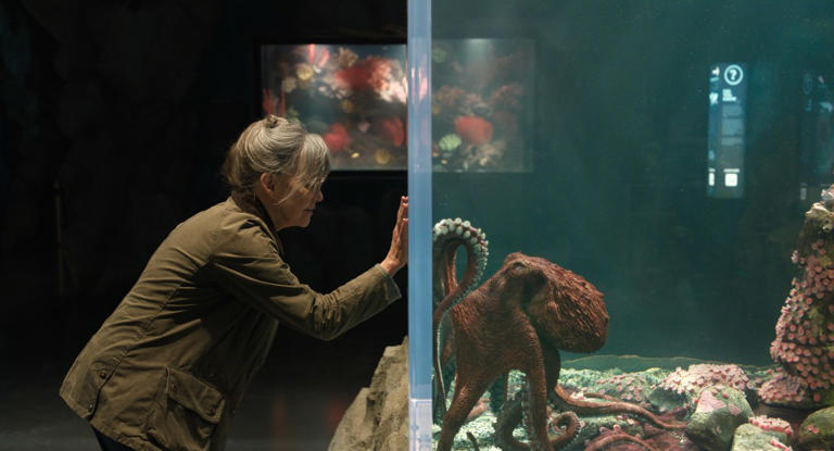 Sally Field on 'Remarkably Bright Creatures' and why she isn't done yet