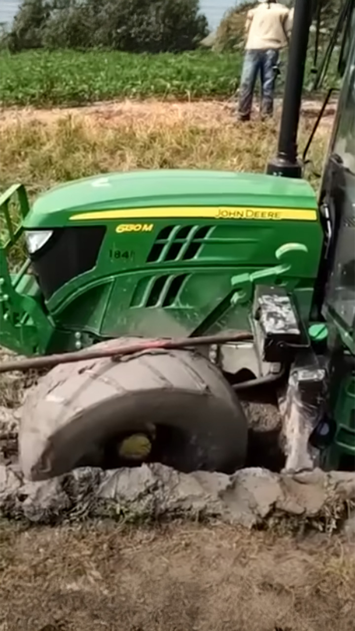 Rescuing a massive batwing from the muck
