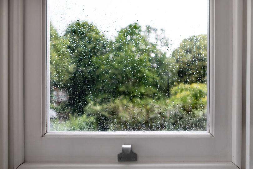 Windows will stay crystal clear without any pollen if sprayed with an ...