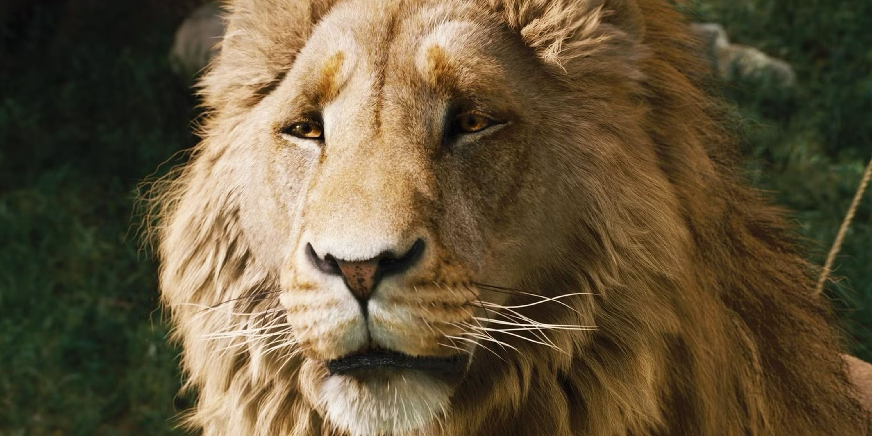 Netflix's Narnia is officially the end of the streaming era