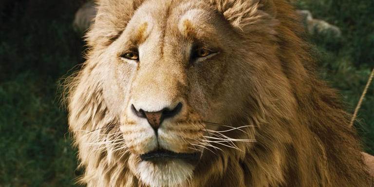 Netflix's Narnia is officially the end of the streaming era