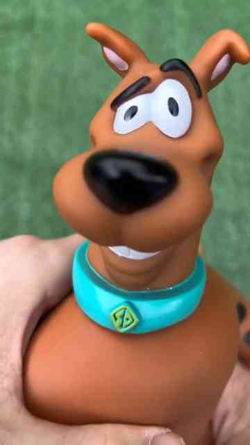Scooby Doo flooded my garden mystery chaos in the backyard