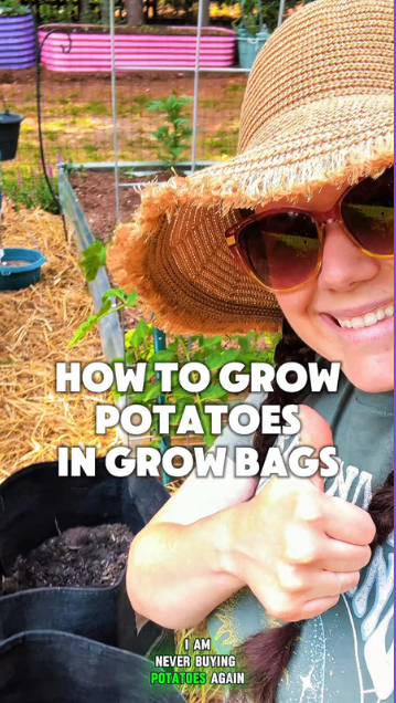 How to grow potatoes in bags successfully