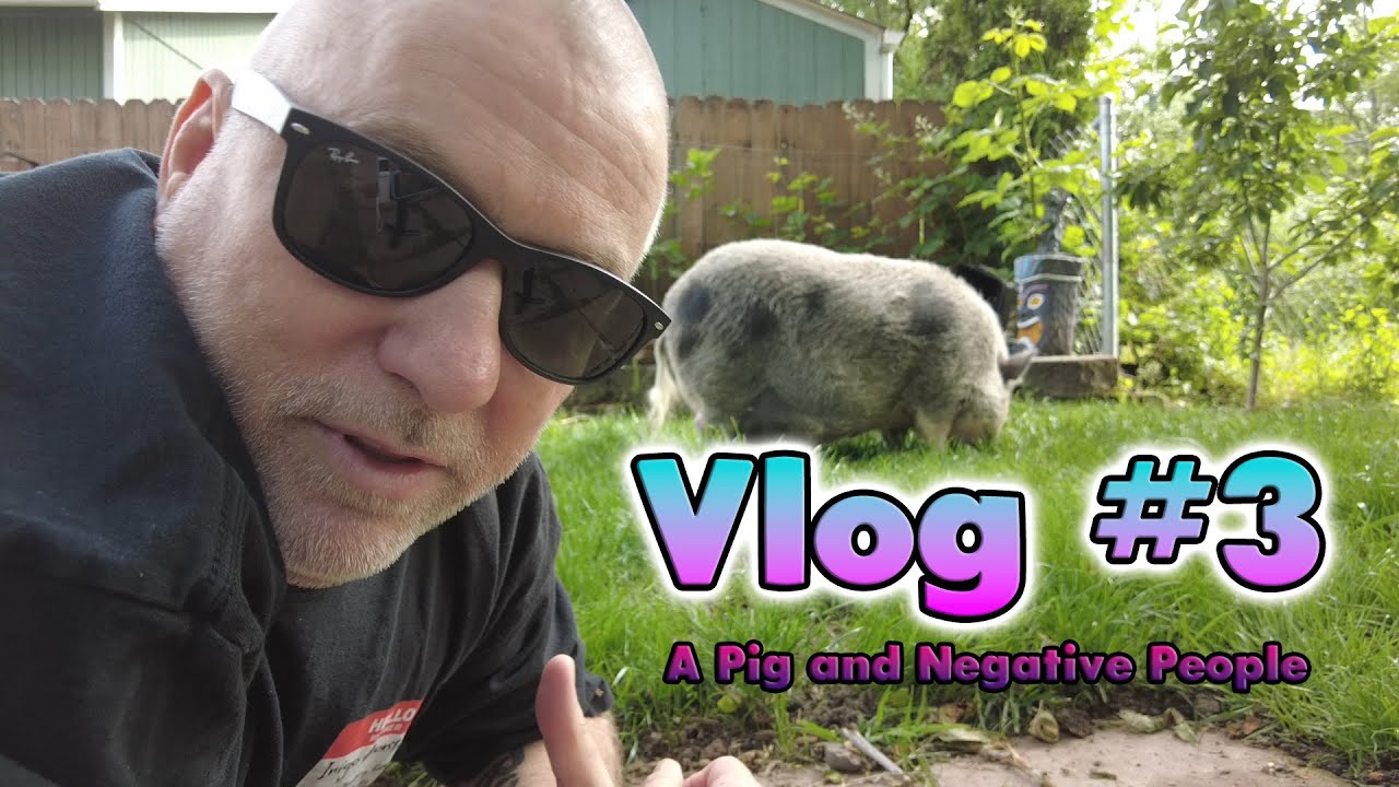 McMuffin the pig and negative people