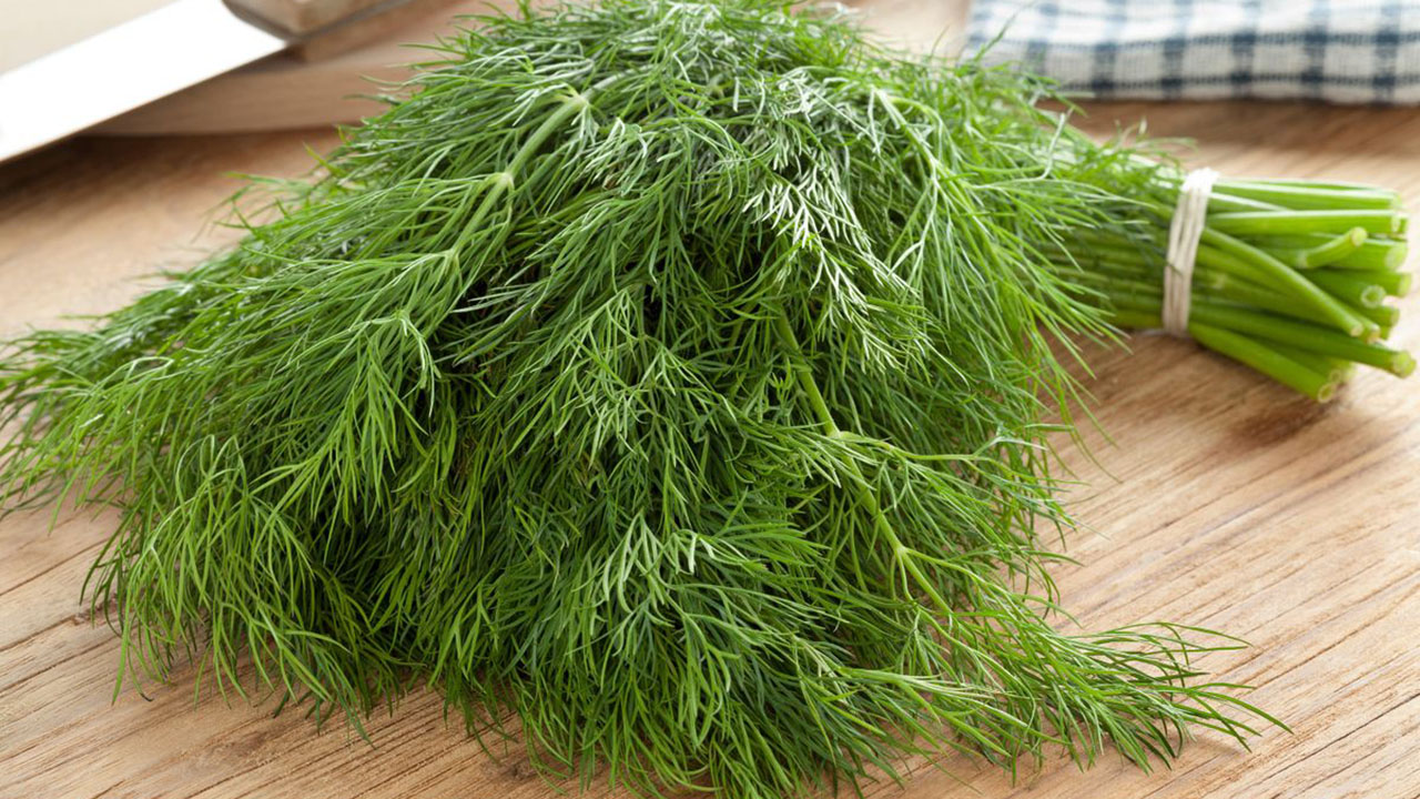 How to grow dill: A no-fuss guide to one of the garden's most useful herbs