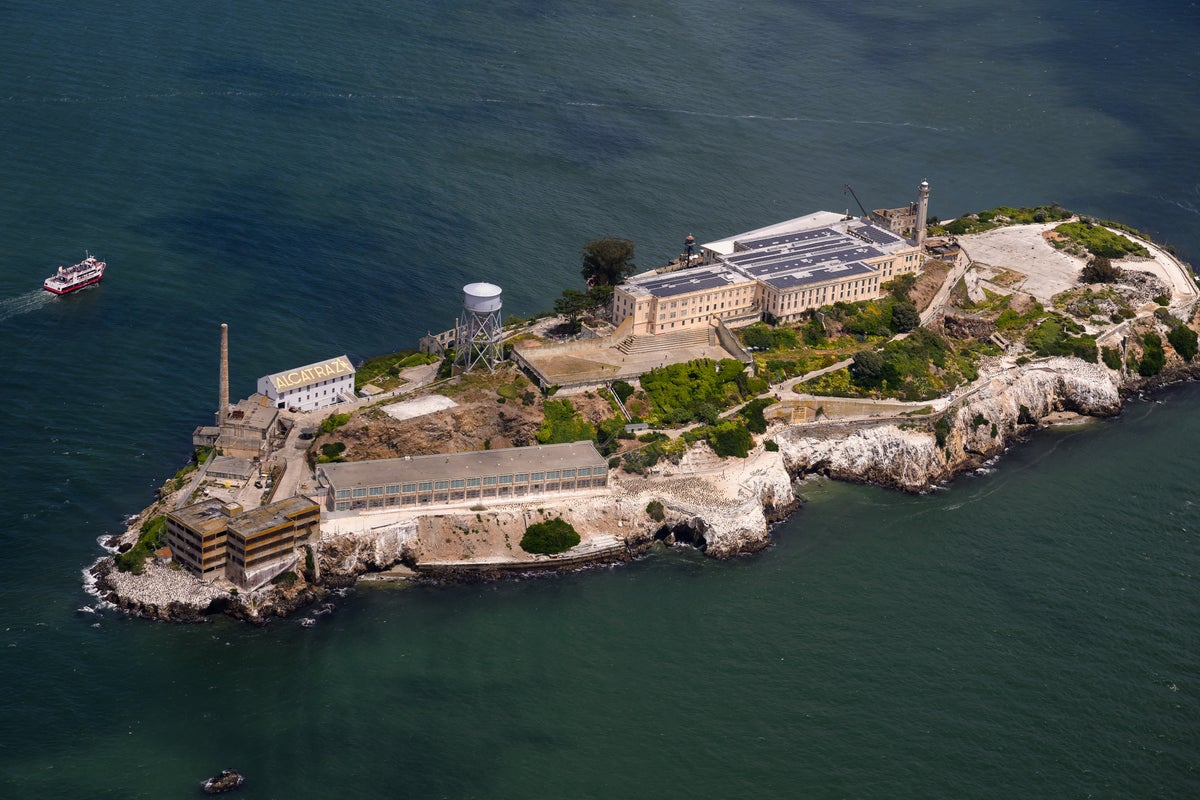 Coyote stuns experts with incredible two-mile swim to Alcatraz