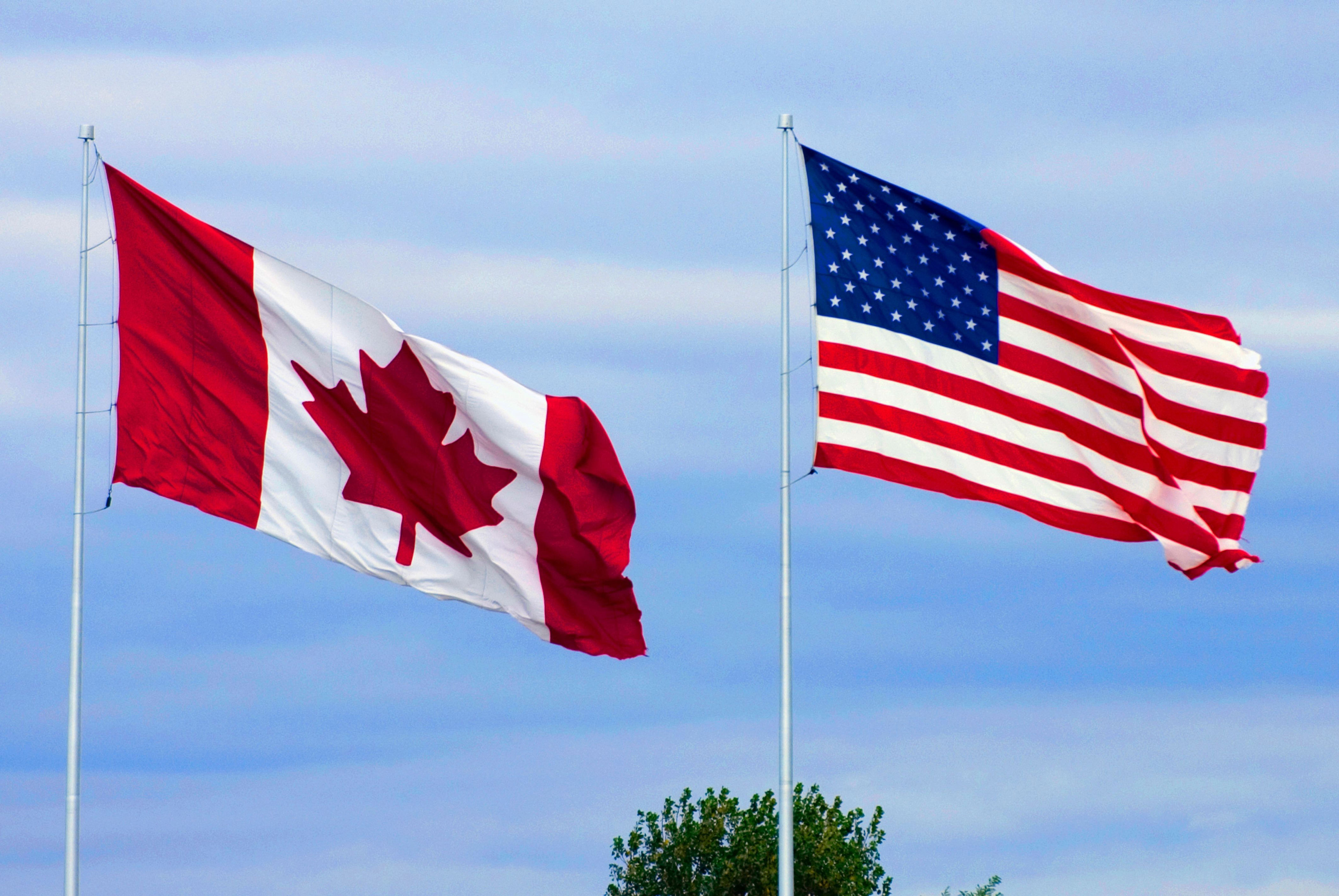 Fake Canadians fuel push to become Trump's 51st state as one province ...