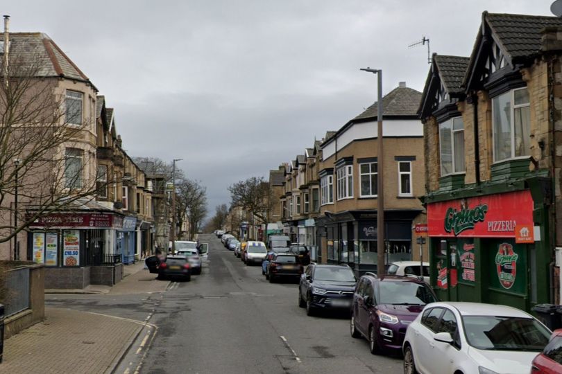 Morecambe dog attack horror as 'out of control' pet sees owner hit with ...