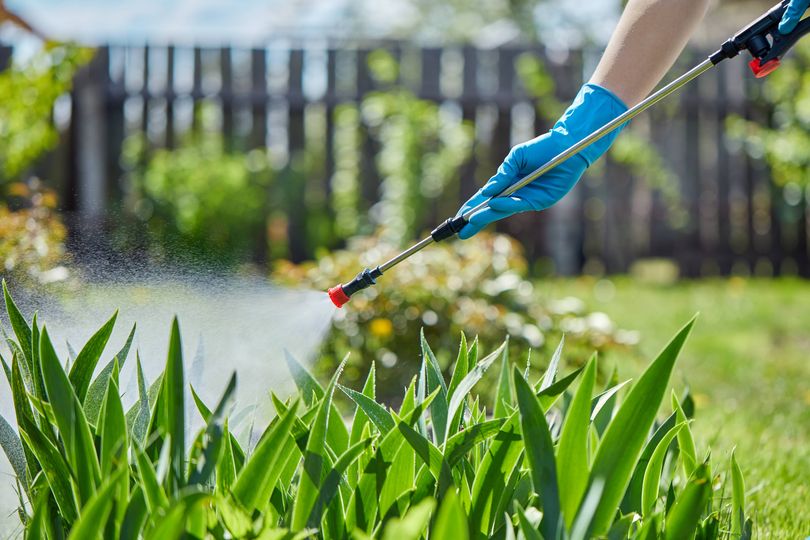 UK households facing major rule change with ban on popular weedkiller