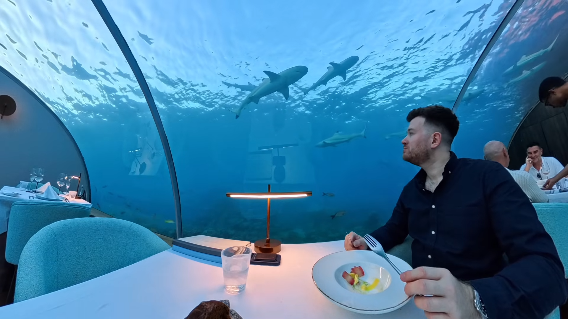 He paid $18,000 to sleep underwater - then the sharks started circling