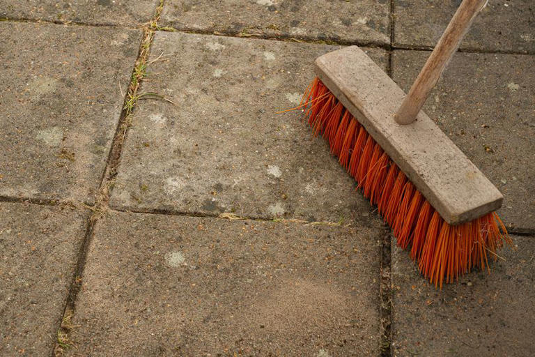 I remove moss and algae from my patio every spring using cheap patio ...