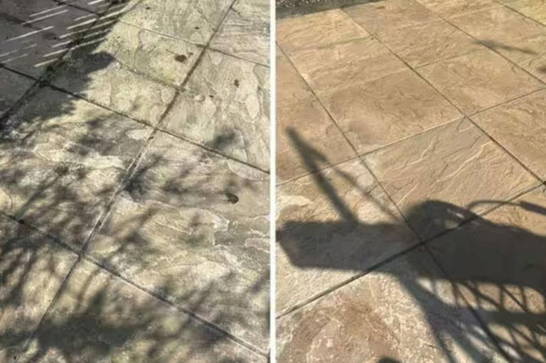 I remove moss and algae from my patio every spring using cheap patio ...