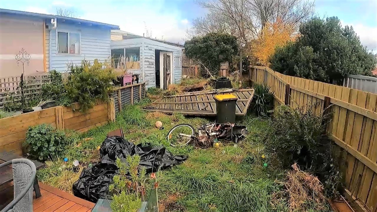This yard turned into a wild jungle