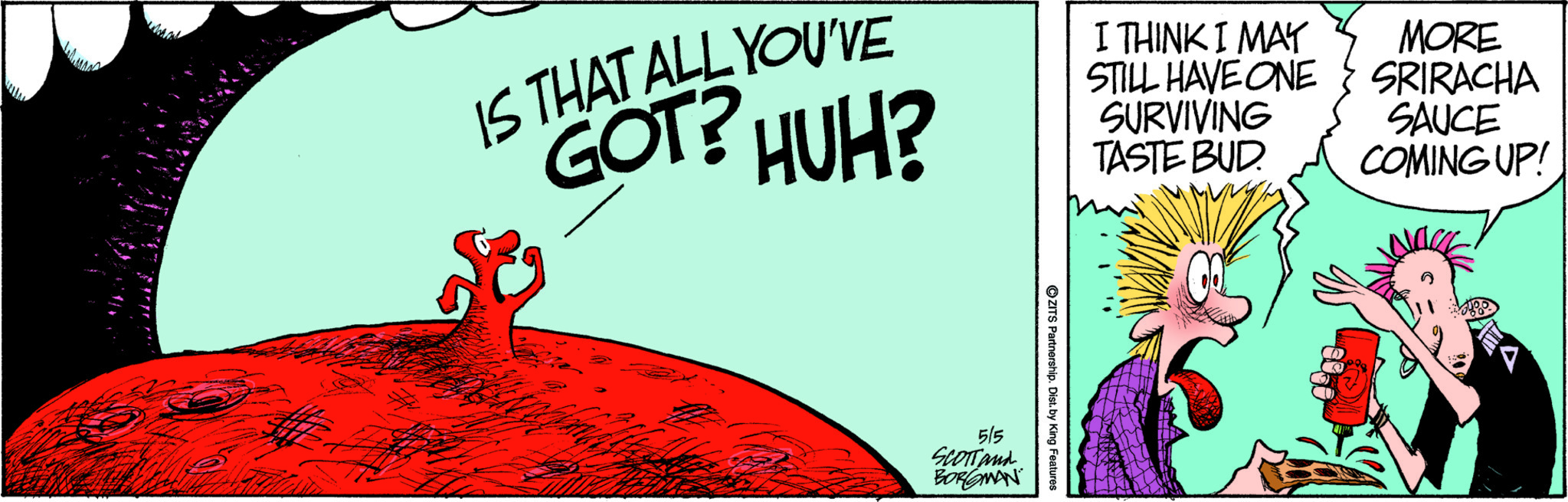 Zits by Jerry Scott and Jim Borgman