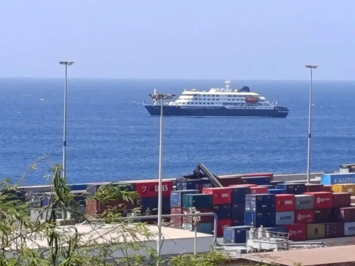 What is the hantavirus that killed three cruise ship passengers?
