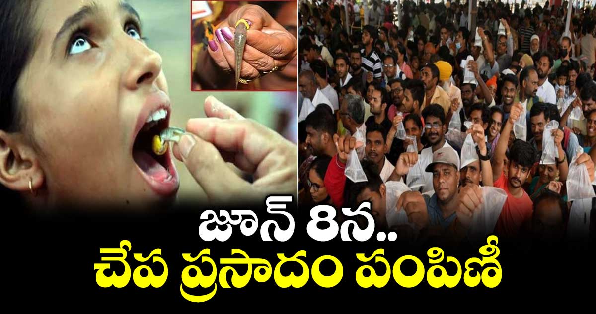 జూన్‌ 8న చేప ప్రసాదం పంపిణీ