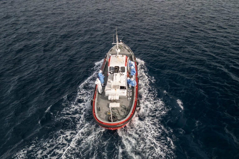Hantavirus: French person being monitored after cruise patients evacuated