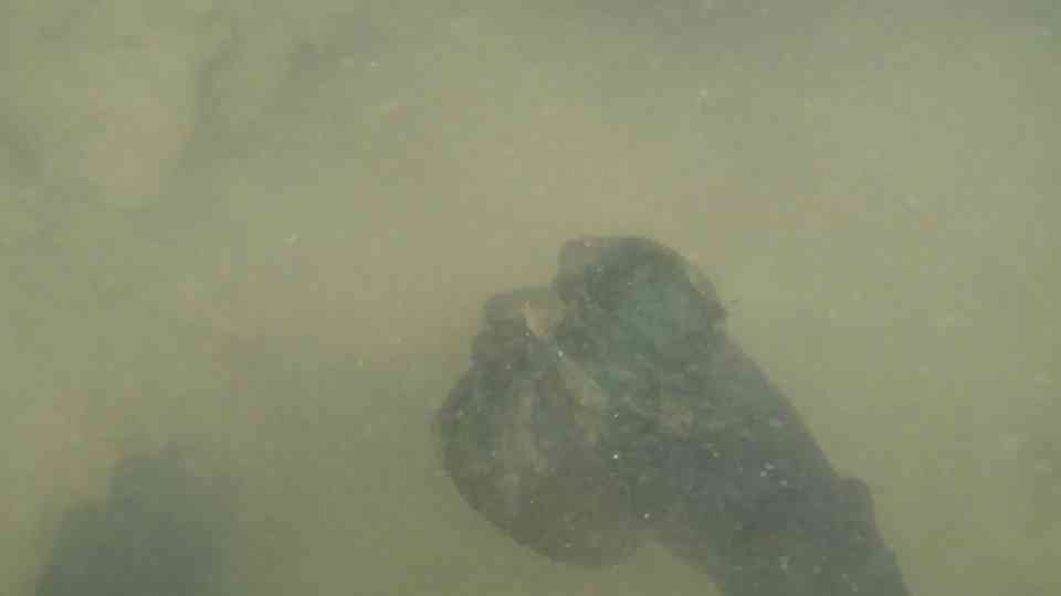 What my metal detector picked up underwater