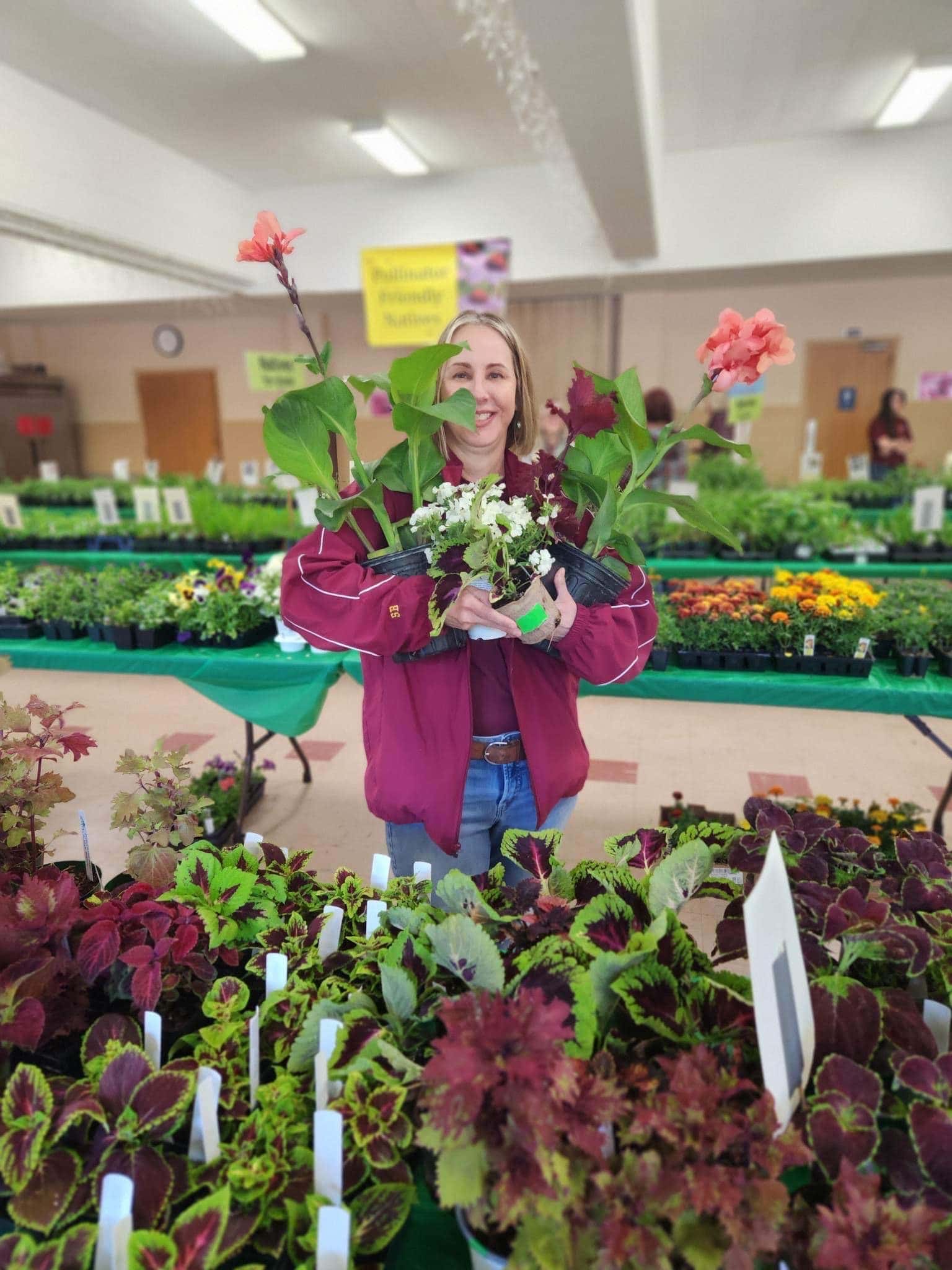 Ramsey County Master Gardener annual plant sale