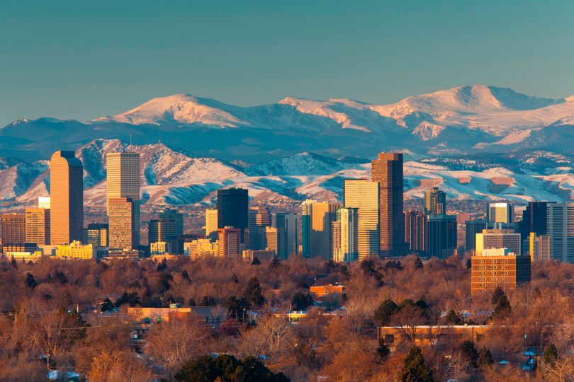 The average American has only been to 4 of these US cities - how many ...