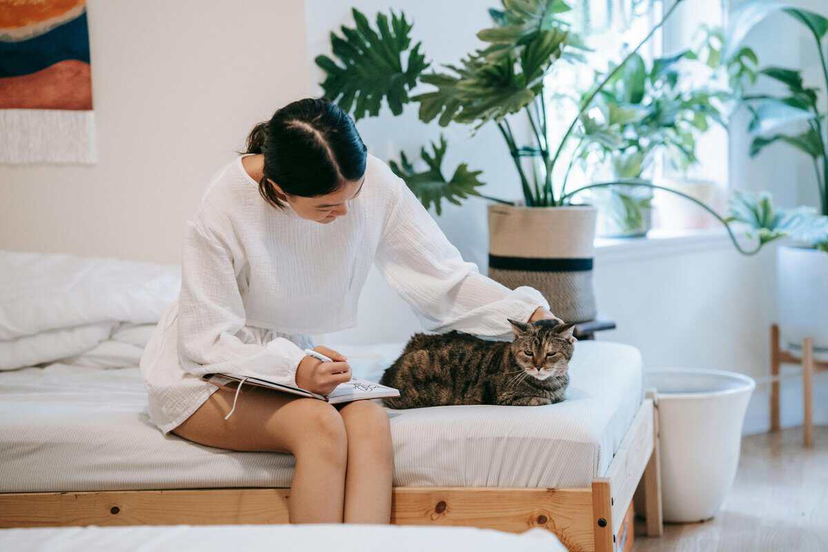 10 signs you have a deep spiritual bond with your cat