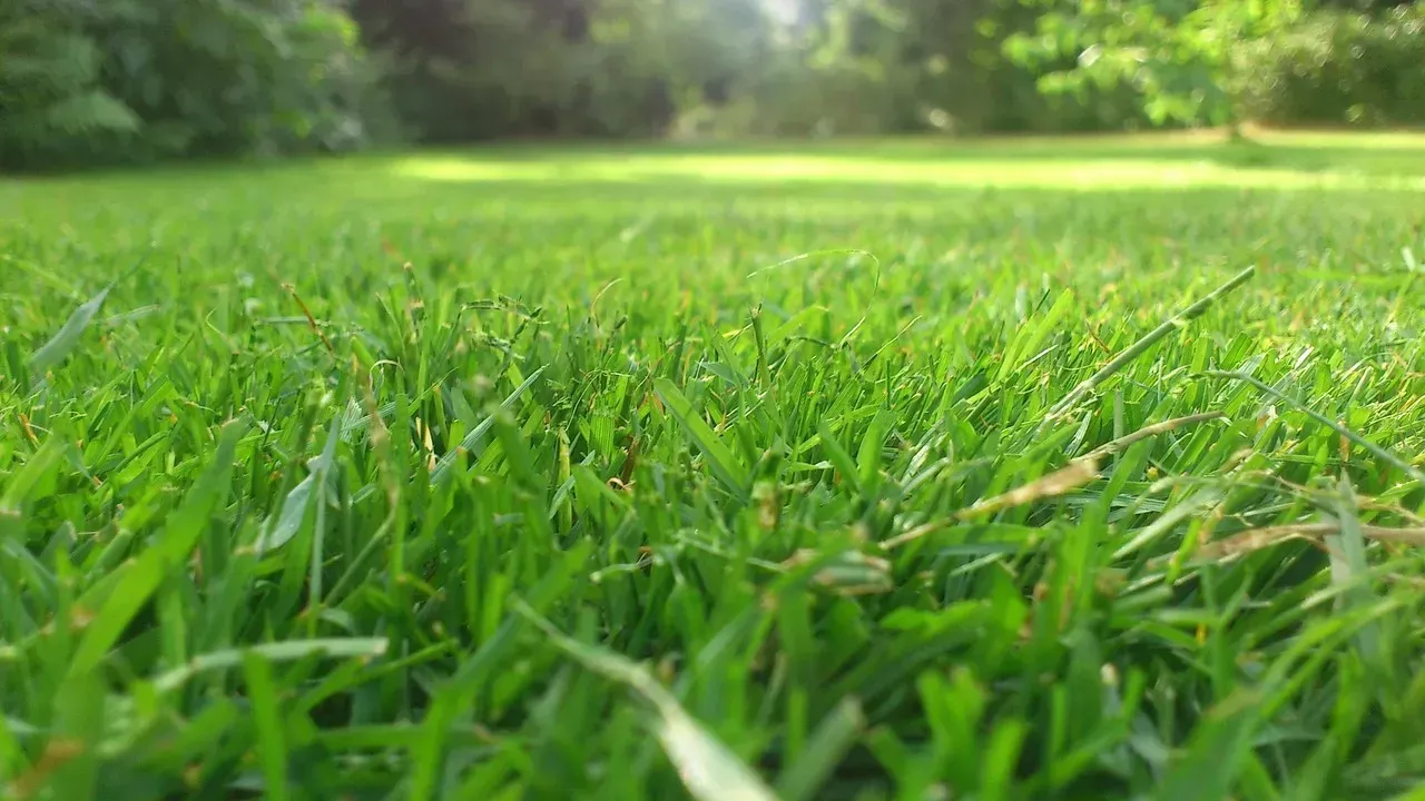 No-go-list: 10 things it's best to avoid right after mowing the lawn