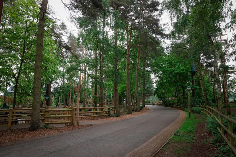 Center Parcs to launch new open-air experience showing World Cup and ...