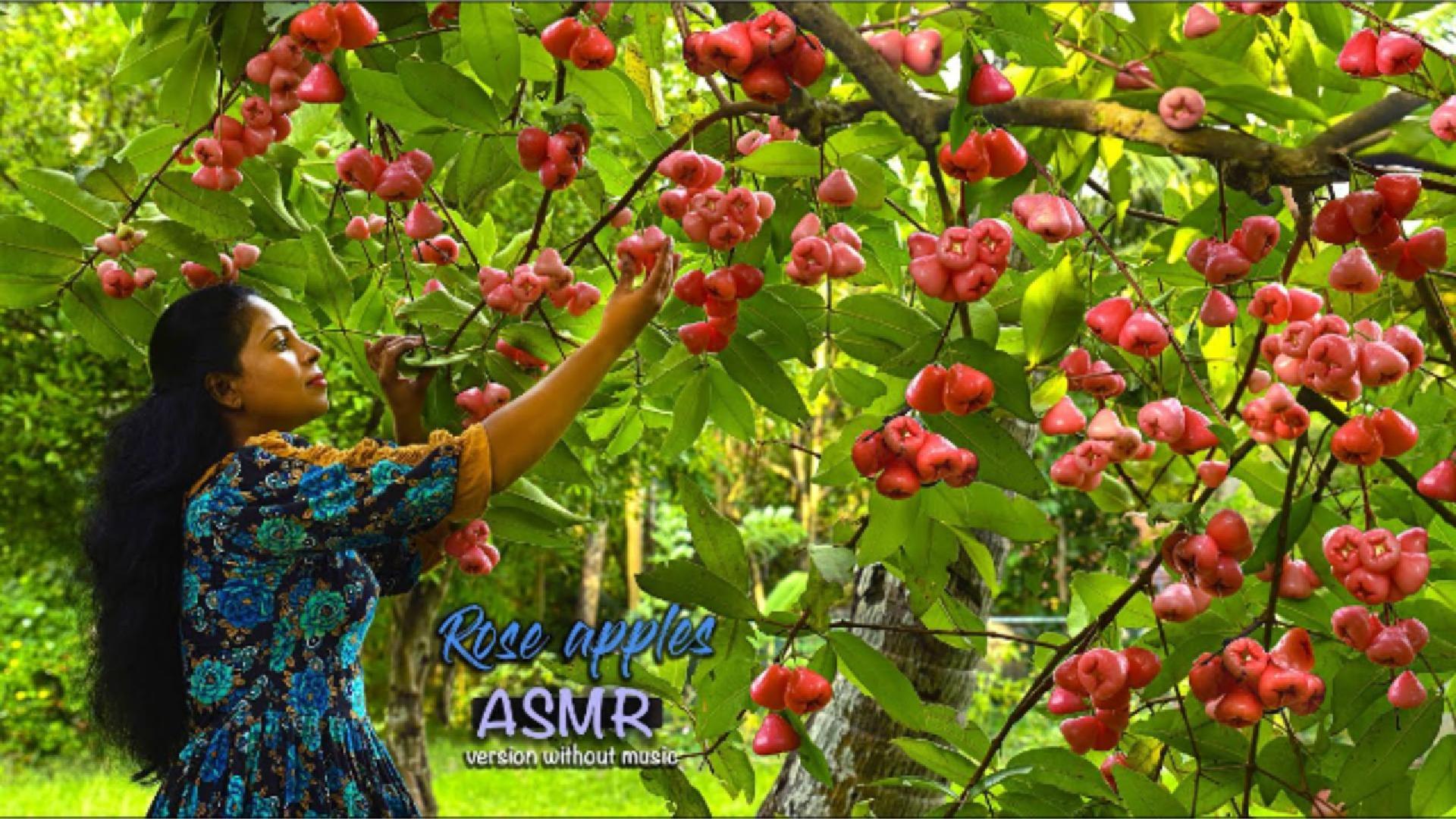 ASMR dessert preparation with java apples