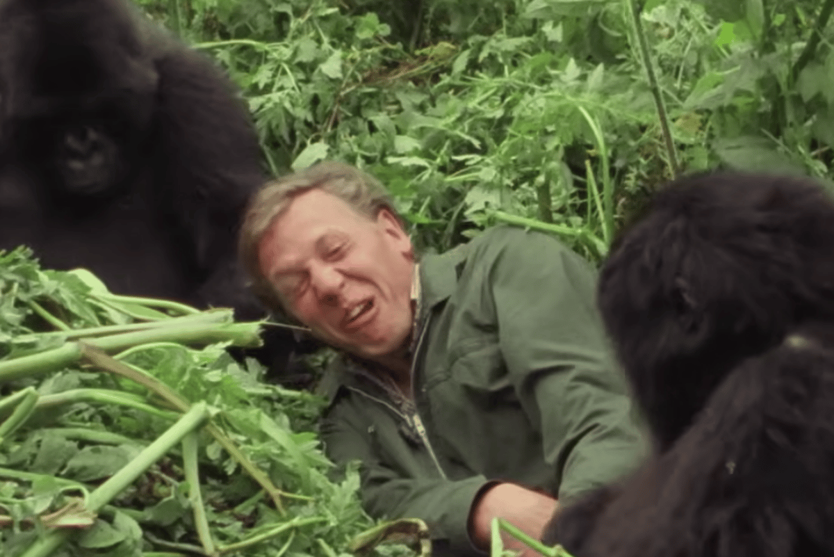David Attenborough's 10 most iconic moments as he turns 100