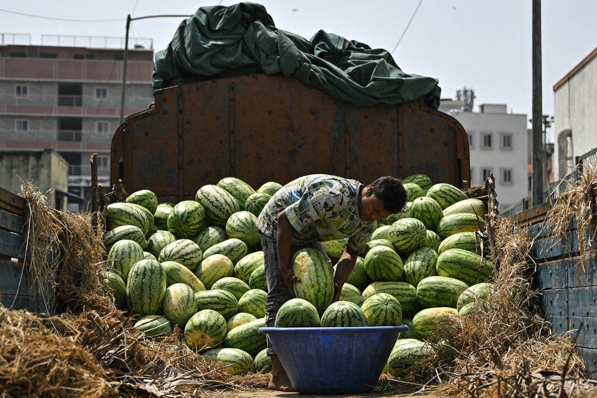 Deaths in India that crashed watermelon prices caused by rat poison