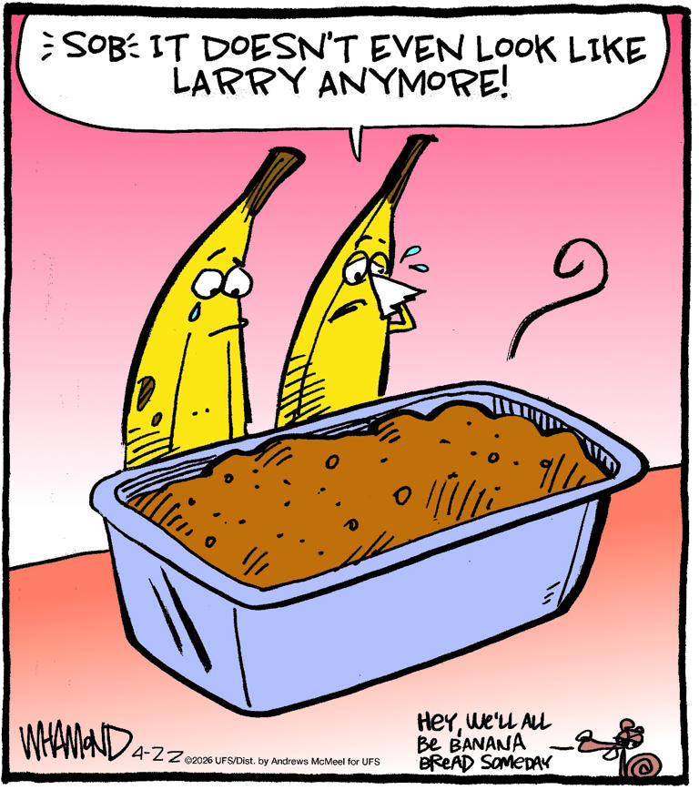 Reality check by Dave Whamond