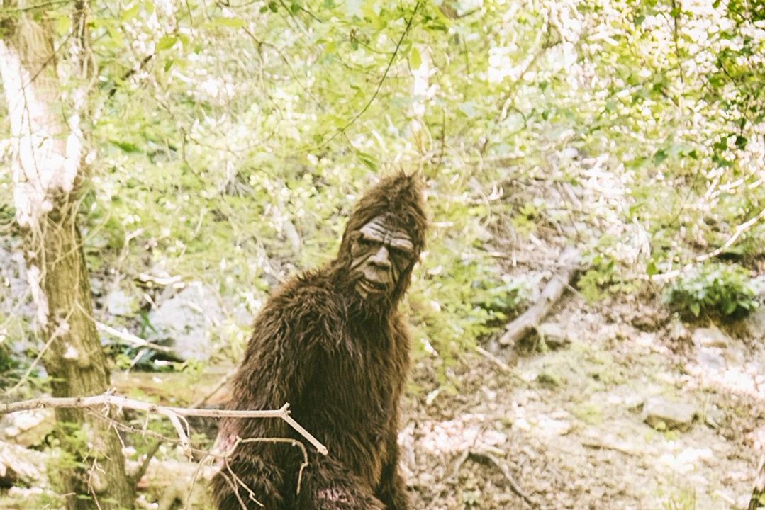 Ohio Bigfoot sightings keep piling up