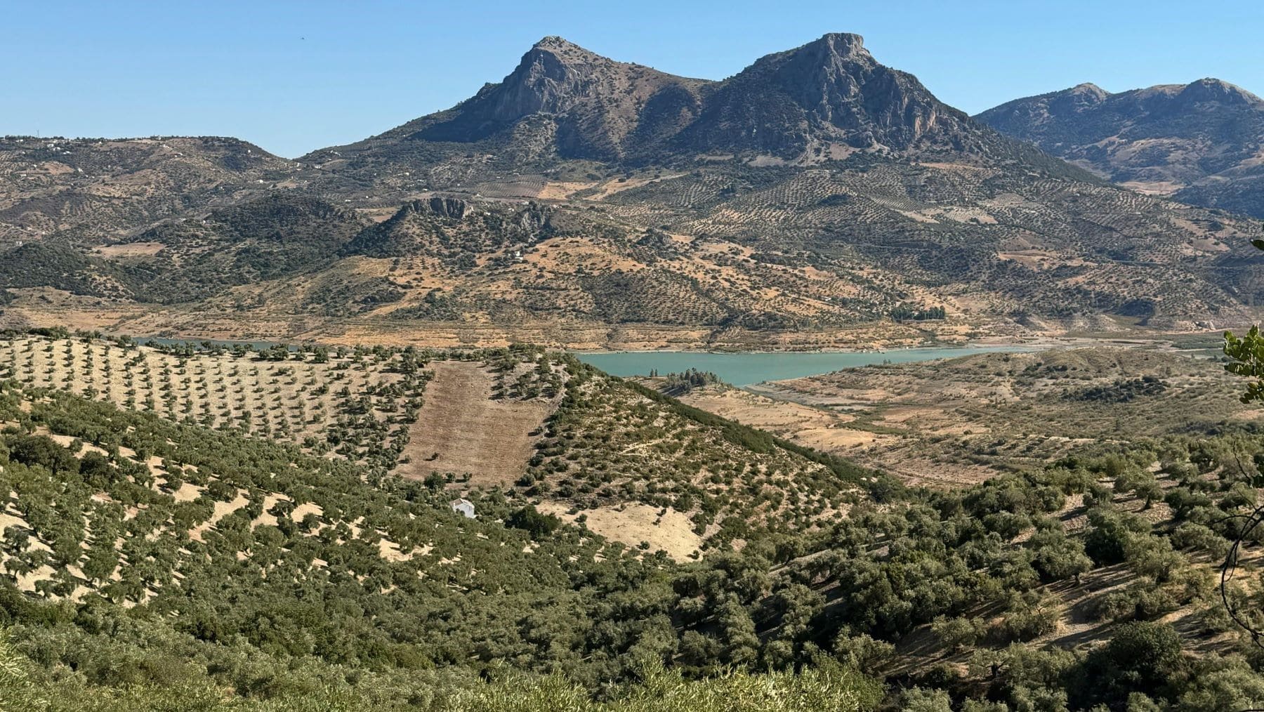 Proyecto Soli O-Live: estudia la salud del suelo del olivar y mejora la ...