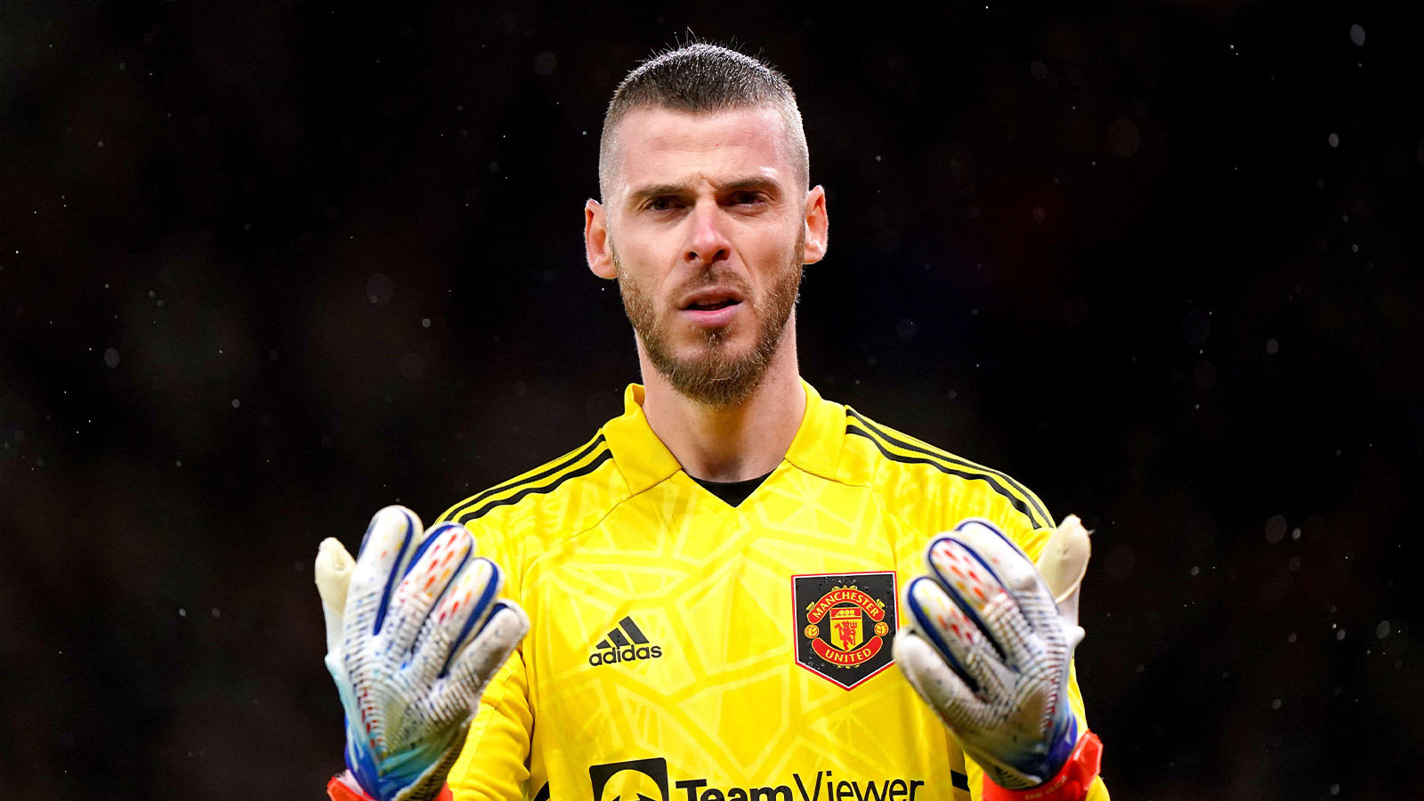 Goalkeepers with most clean sheets in 2025-26: David Raya overtaken by ...