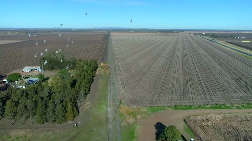Government axes Inland Rail project due to ballooning costs