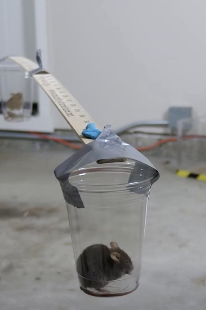 Giant magnet moves a mouse