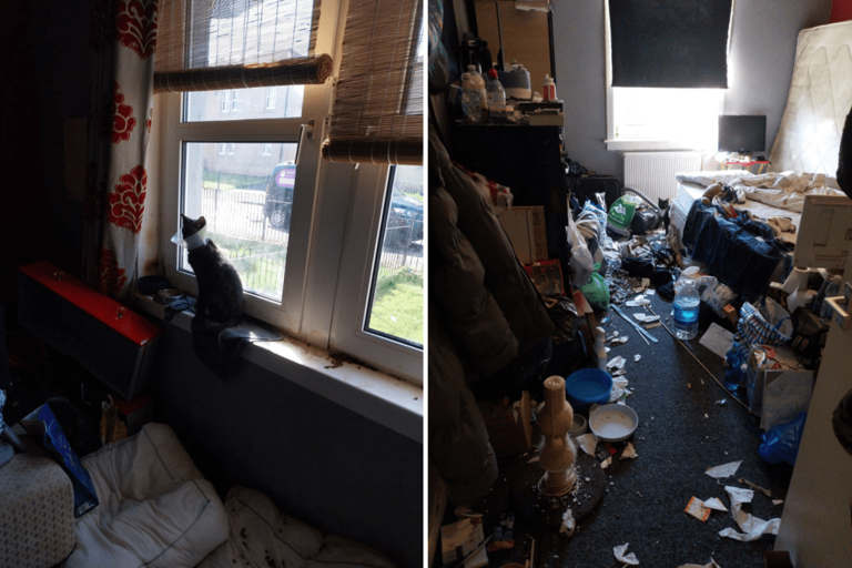 Two men sentenced after flea-infested cat found emanating smell of decay