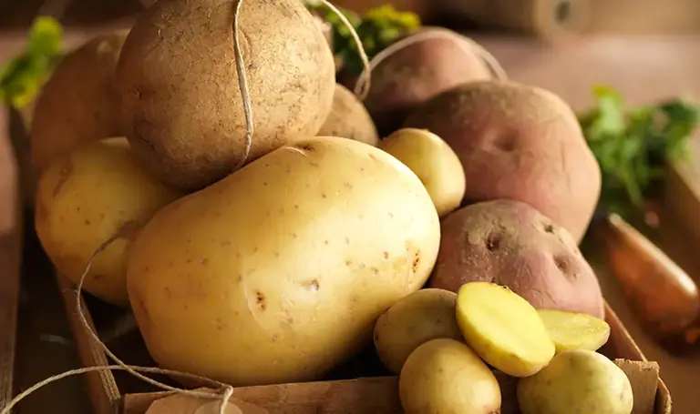 ¿Se pueden comer las patatas con brotes? Esta es la respuesta de los ...