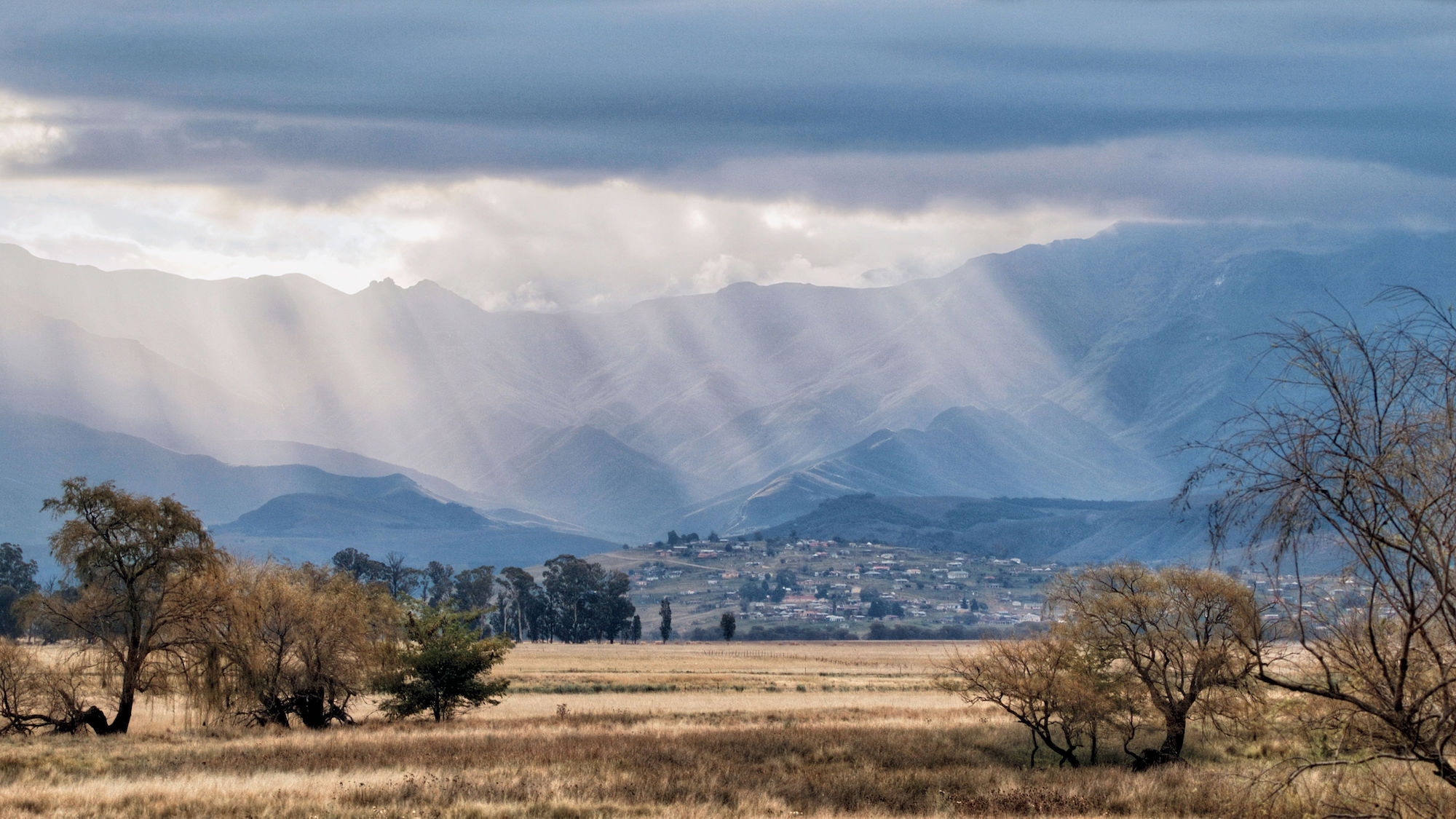Bestseller supports South African regenerative agriculture program