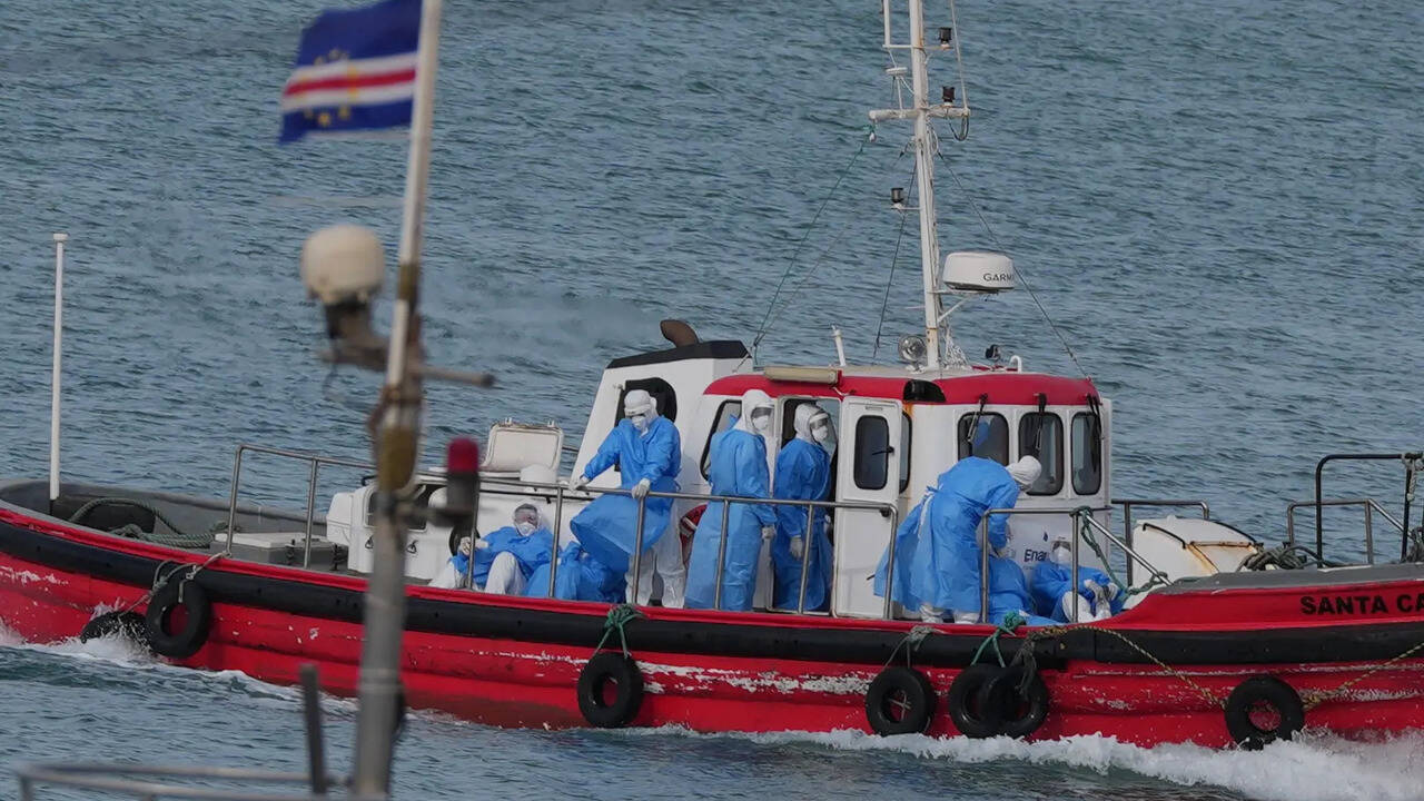 Investigation links hantavirus outbreak on cruise ship to bird-watching ...