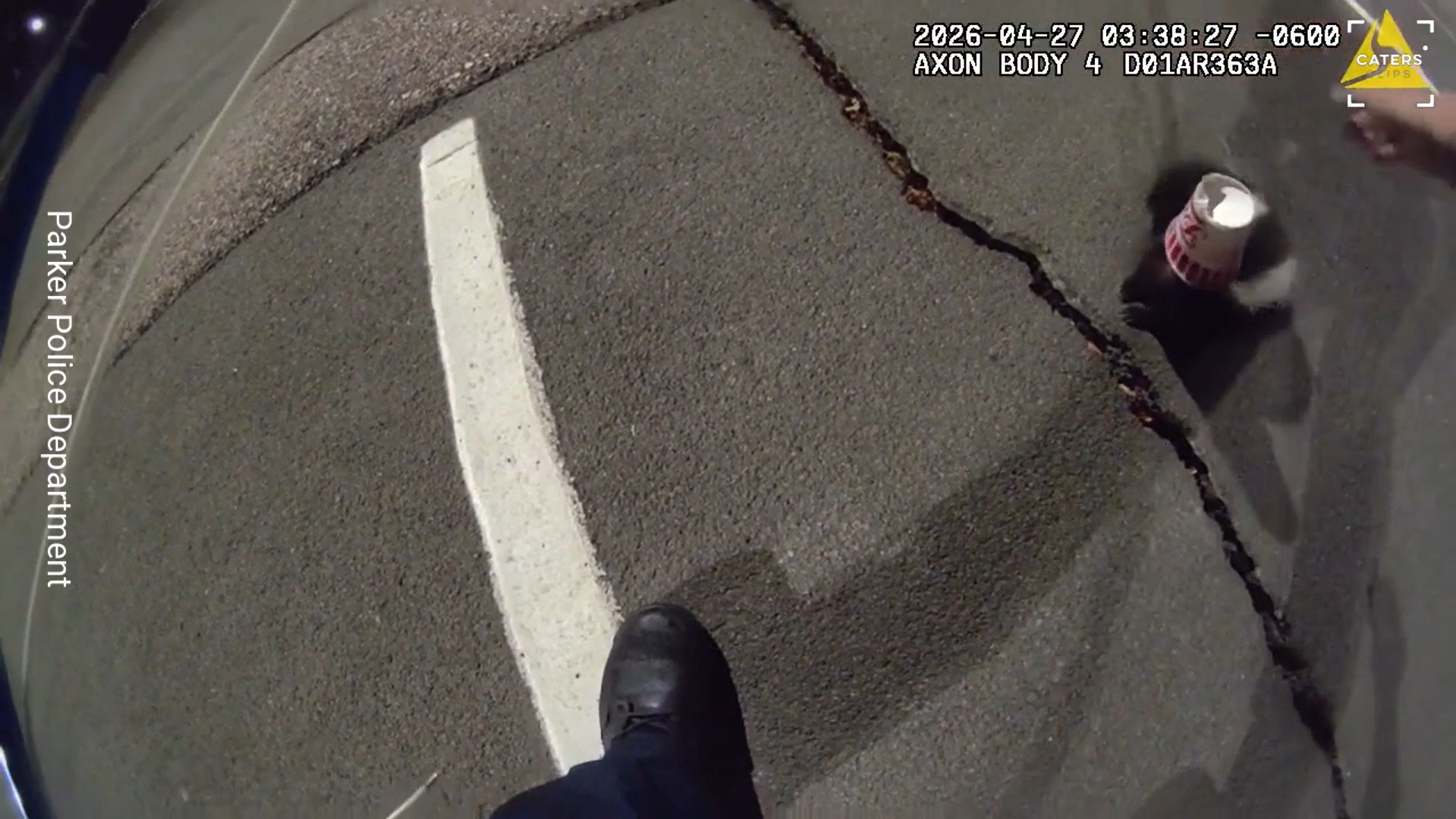 Officer rescues skunk with cup stuck on head in Colorado wildlife moment